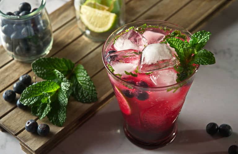 Blueberry Mojito Mocktail - In the Kitch