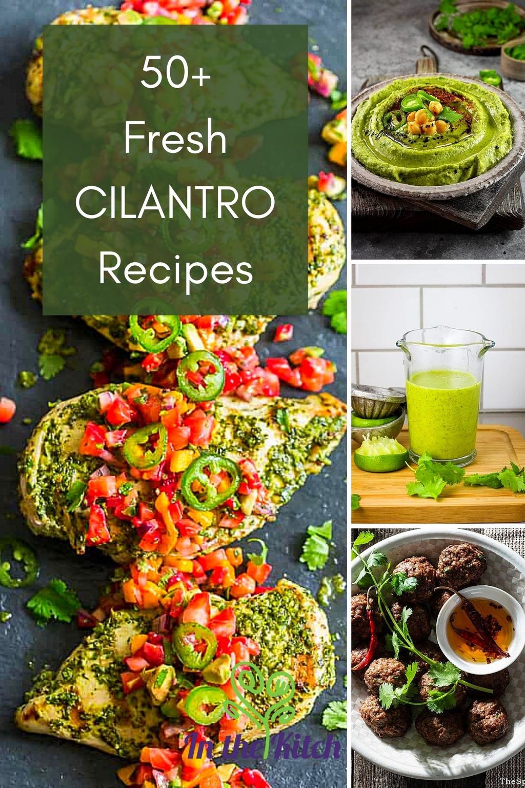 50 + Fresh & Zesty Cilantro Recipes - In the Kitch