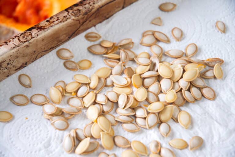 How to Clean, Save and Roast Butternut Squash Seeds - In the Kitch