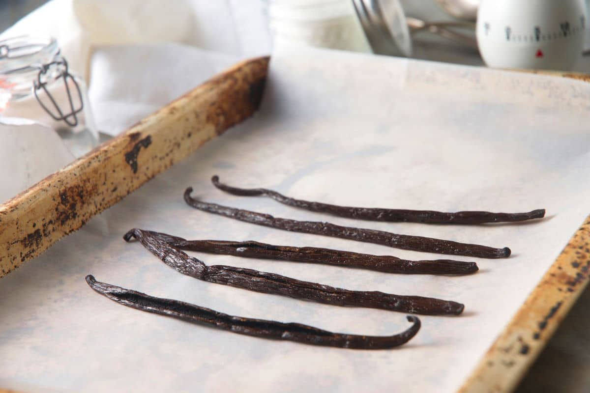 How to Make Vanilla Powder - In the Kitch