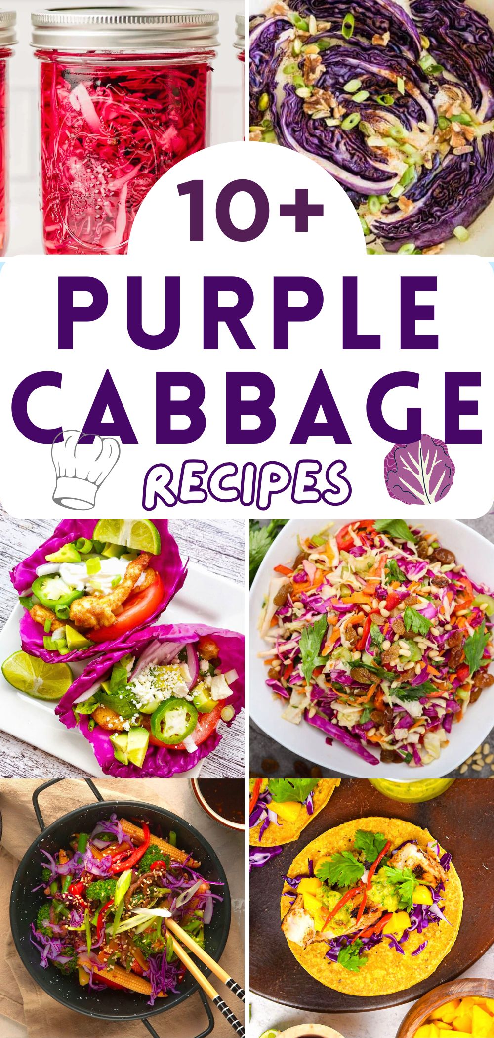 14 Vibrant Purple Cabbage Recipes For Any Season - In the Kitch